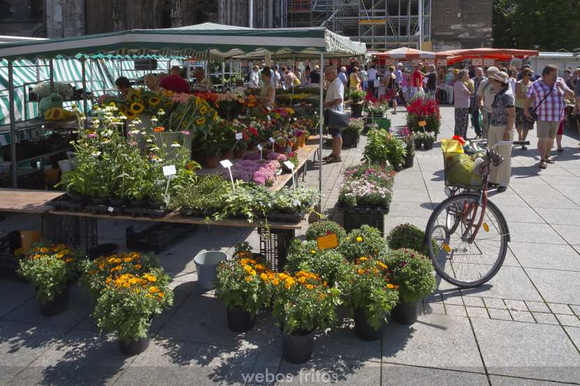 Mercado de Ulm